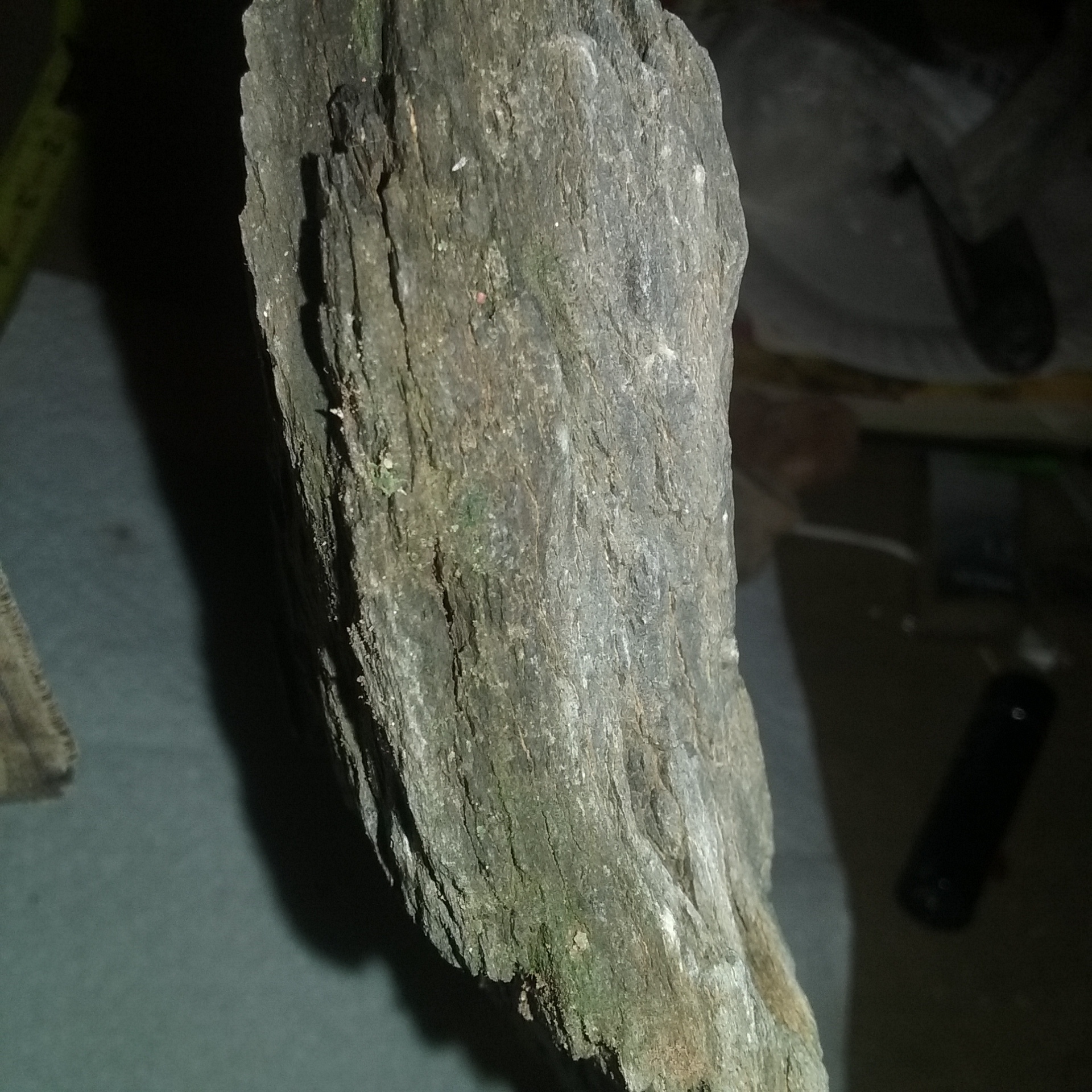 Chromium petrified wood? - Fossil ID - The Fossil Forum