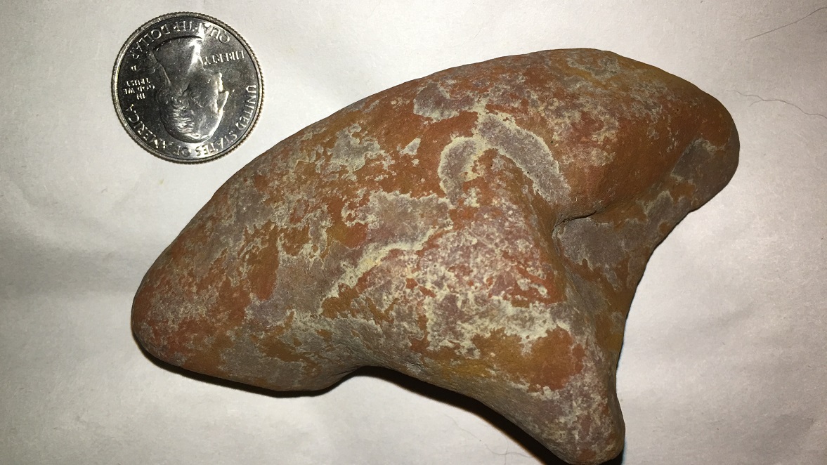 North Sulphur River, Texas, Red-type fossils, Ladonia Fossil Park ...