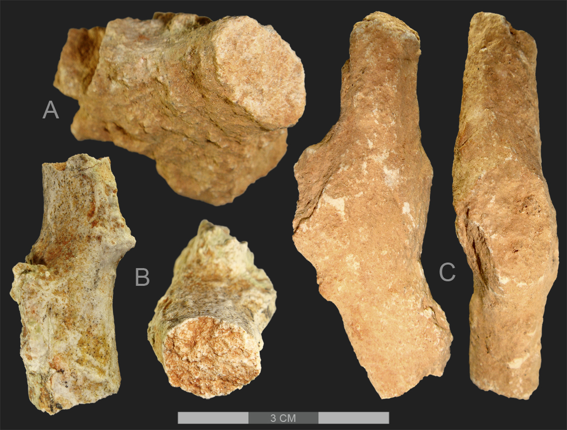 Trip to Old Hunstanton - Fossil Hunting Trips - The Fossil Forum