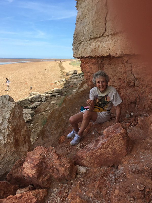 Trip to Old Hunstanton - Fossil Hunting Trips - The Fossil Forum