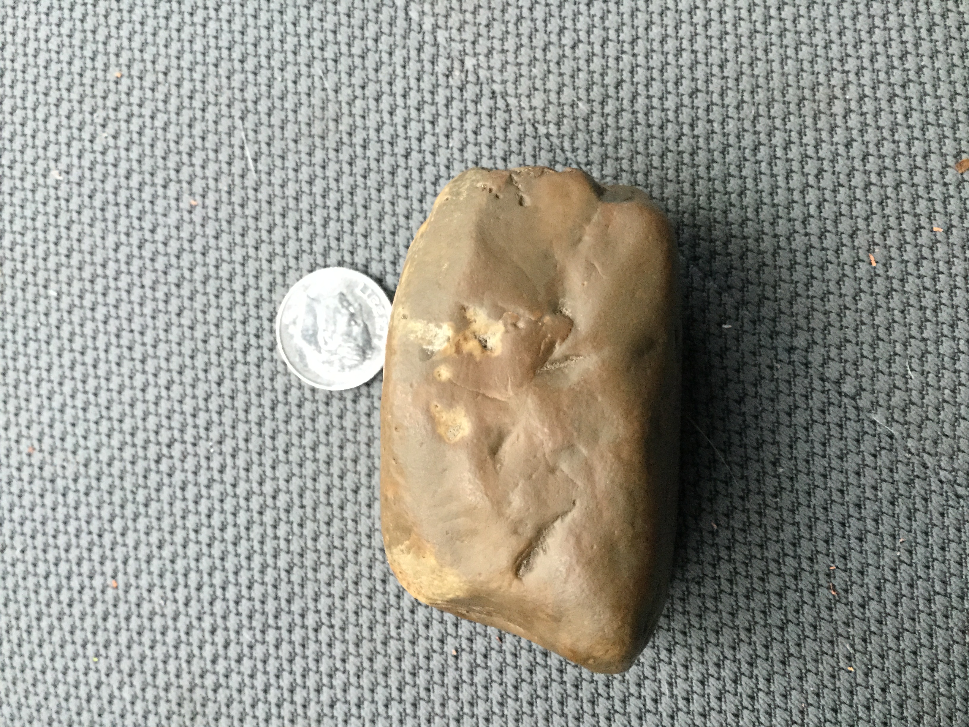 Please Look - Fossil ID - The Fossil Forum