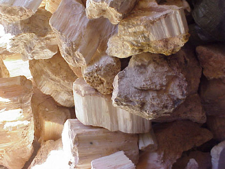 North Sulphur River find Strange layered half cylinder ID??? - Fossil ...