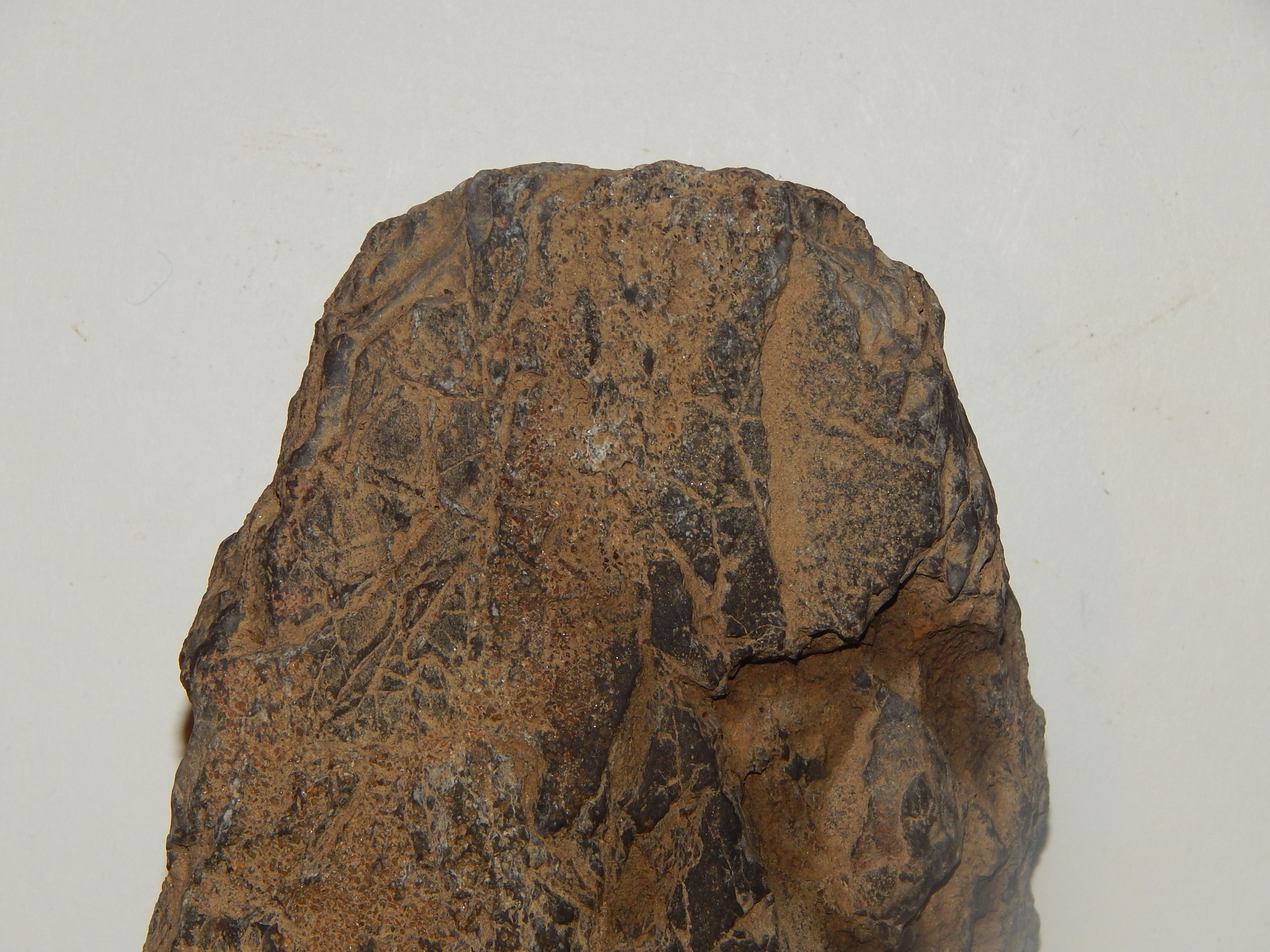 Fossil? - Fossil ID - The Fossil Forum