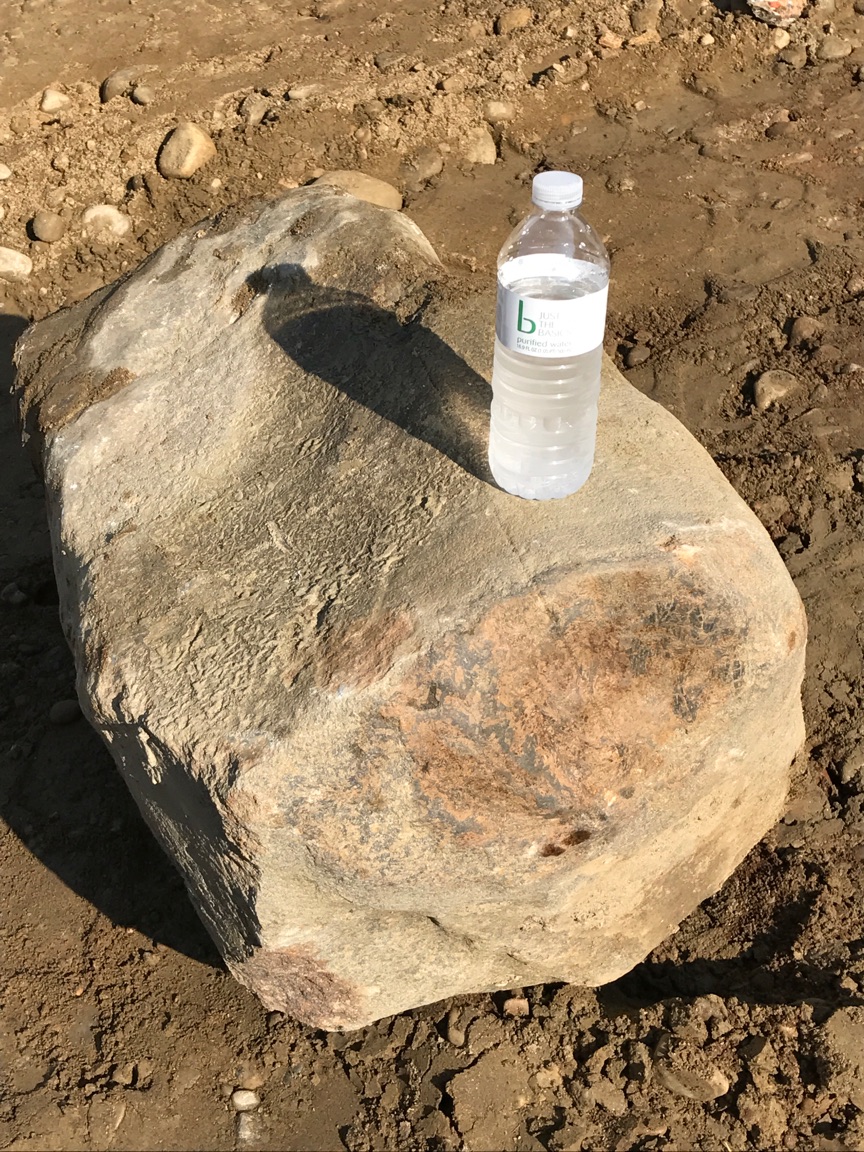 Strange Rock Patterns - Fossil ID - The Fossil Forum