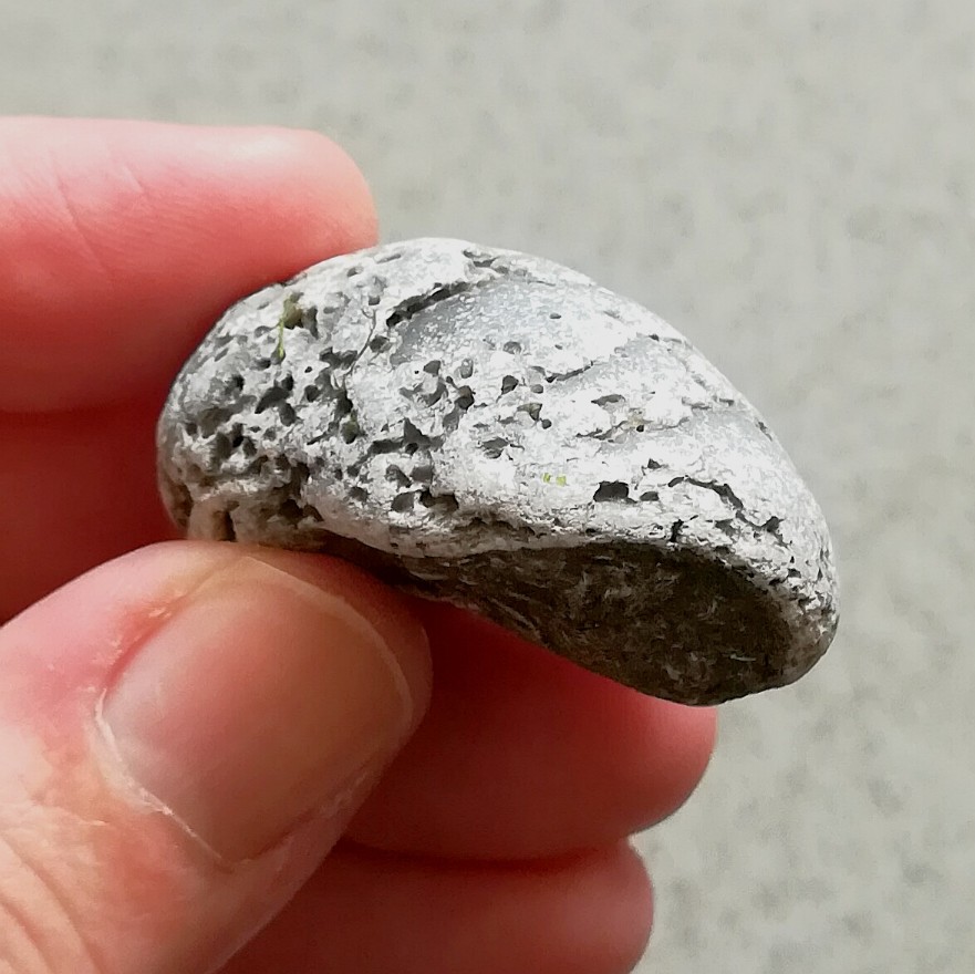 Trip to Saltburn - Fossil Hunting Trips - The Fossil Forum