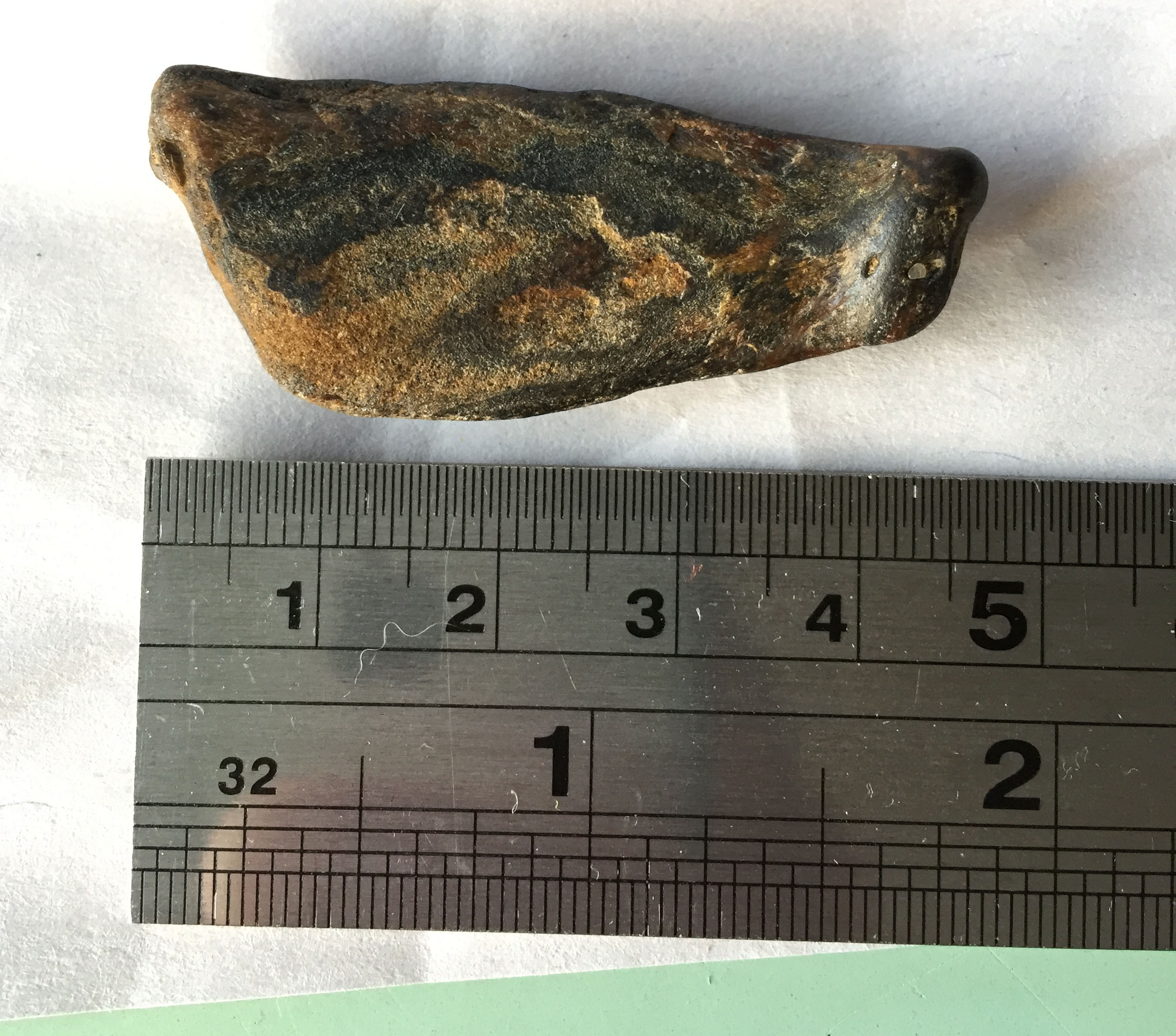 Possible Fish Jaw & Mystery Bone. - Fossil ID - The Fossil Forum