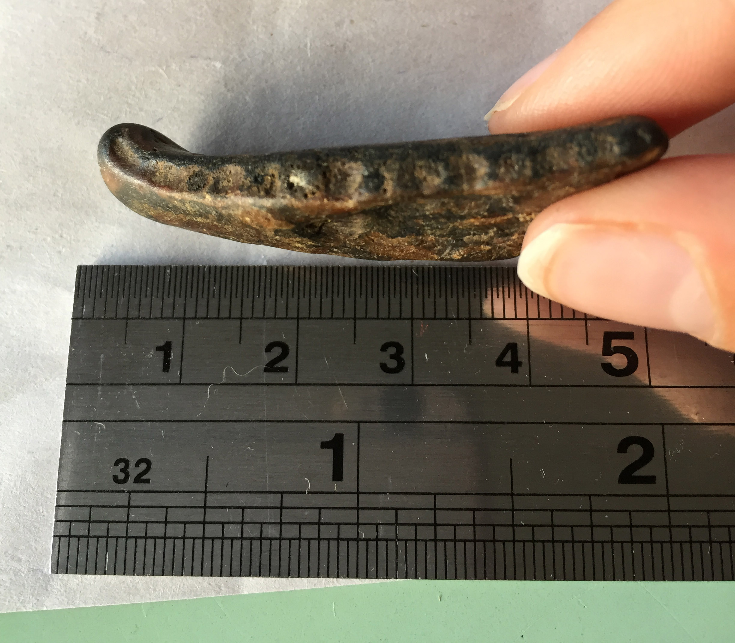 Possible Fish Jaw & Mystery Bone. - Fossil ID - The Fossil Forum