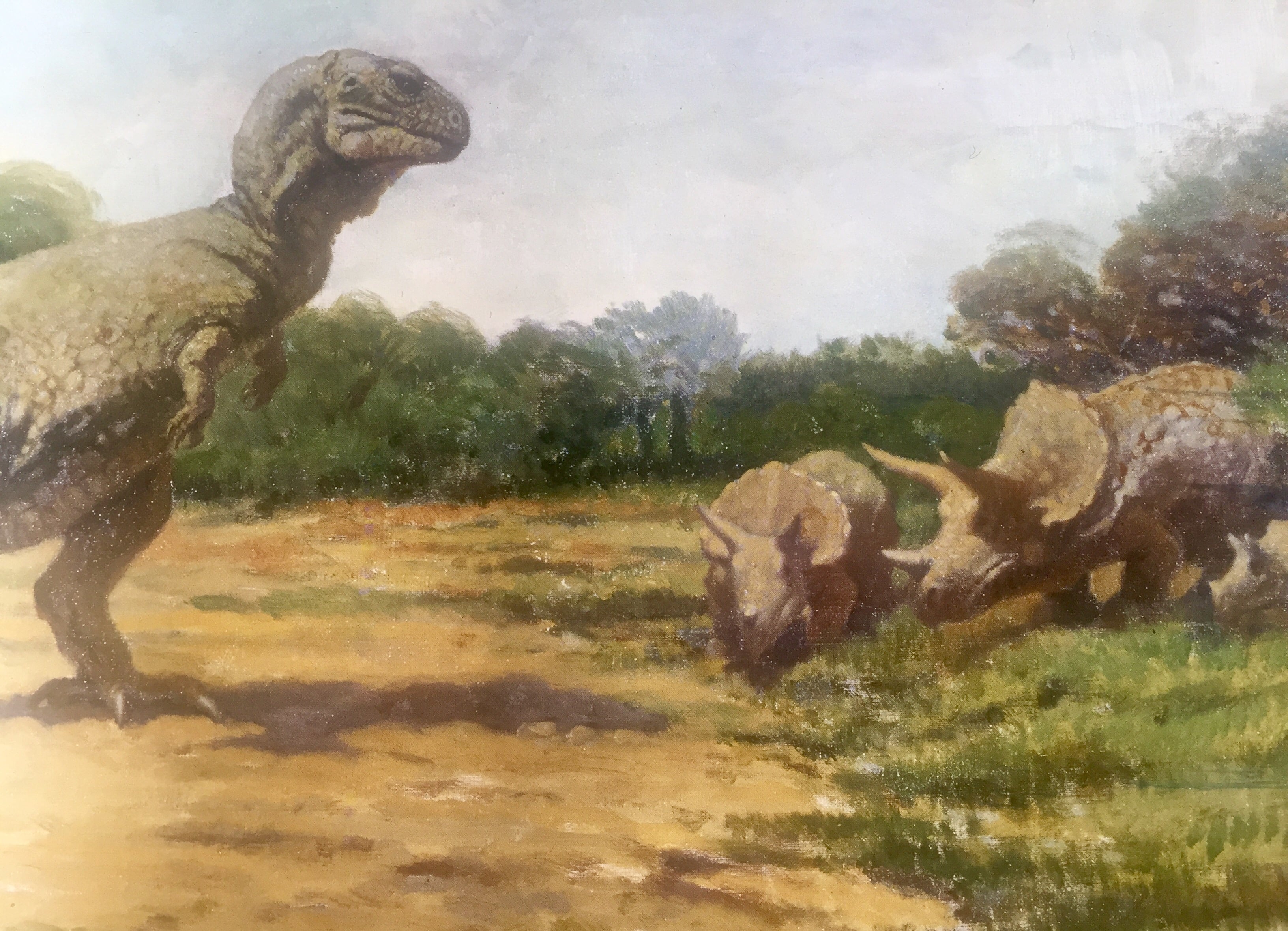 Scaled Dinosaur Figure Collection - Paleo Re-creations - The Fossil Forum