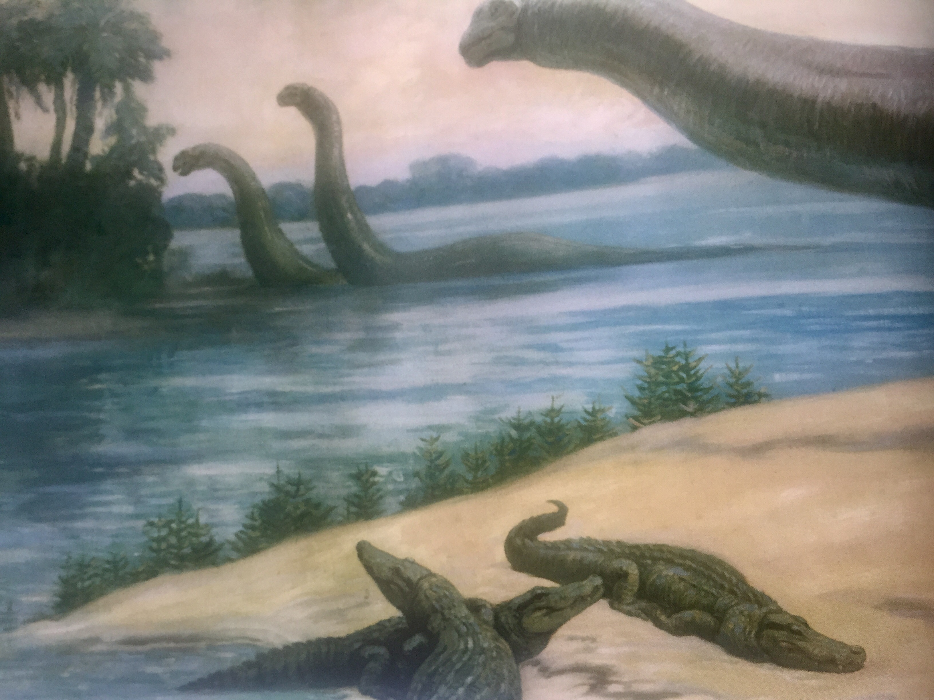 Scaled Dinosaur Figure Collection - Paleo Re-creations - The Fossil Forum