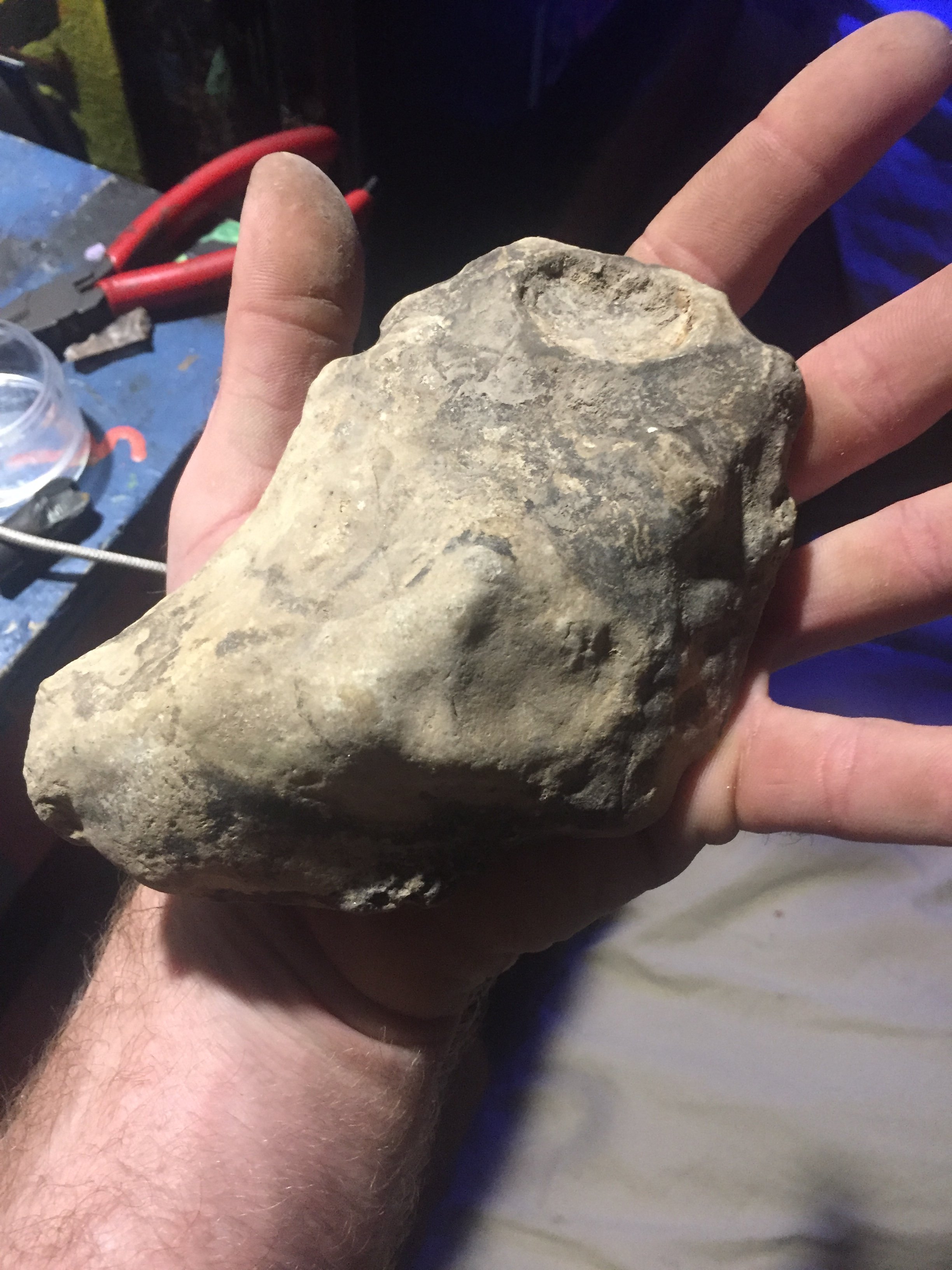 Knippa, Texas - Questions & Answers - The Fossil Forum