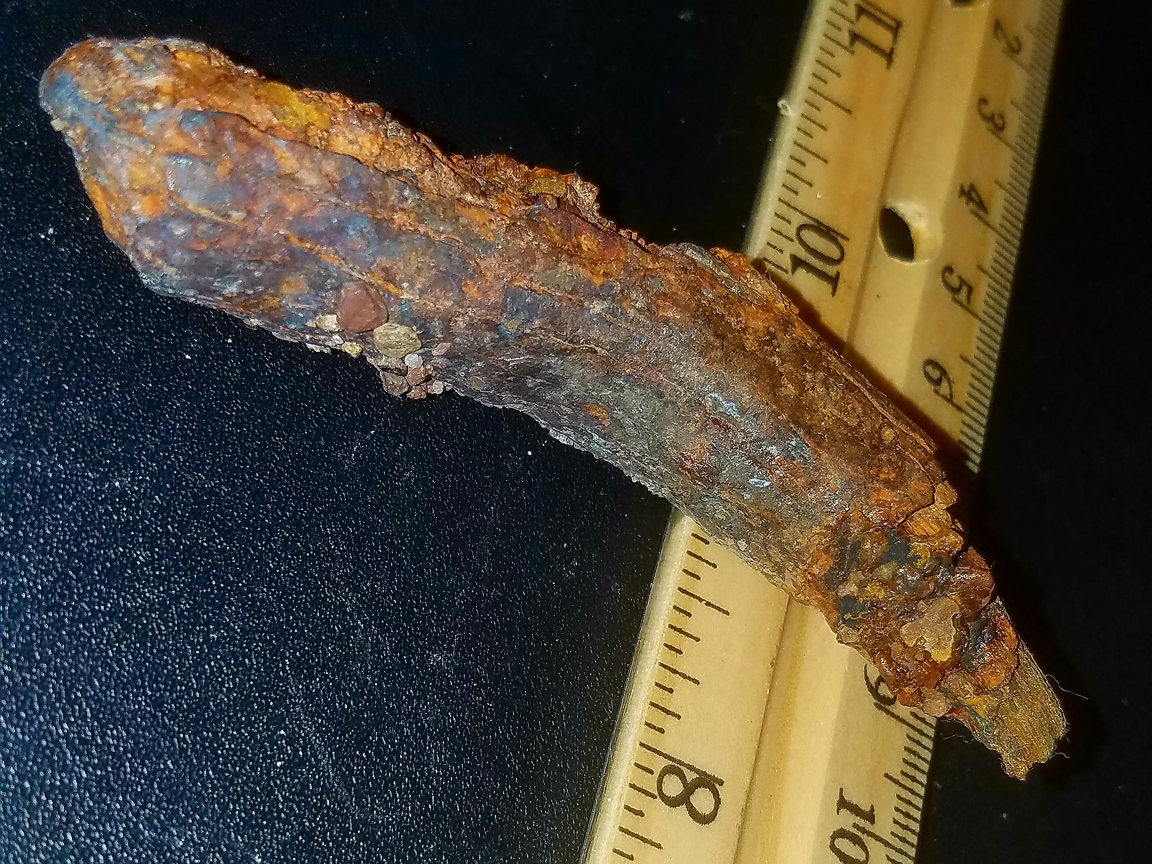 Rib bone? Iron fence? - Fossil ID - The Fossil Forum