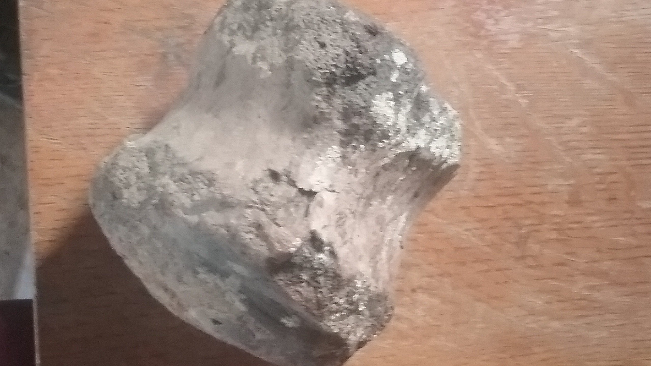 Bone? Need help with identification - Fossil ID - The Fossil Forum