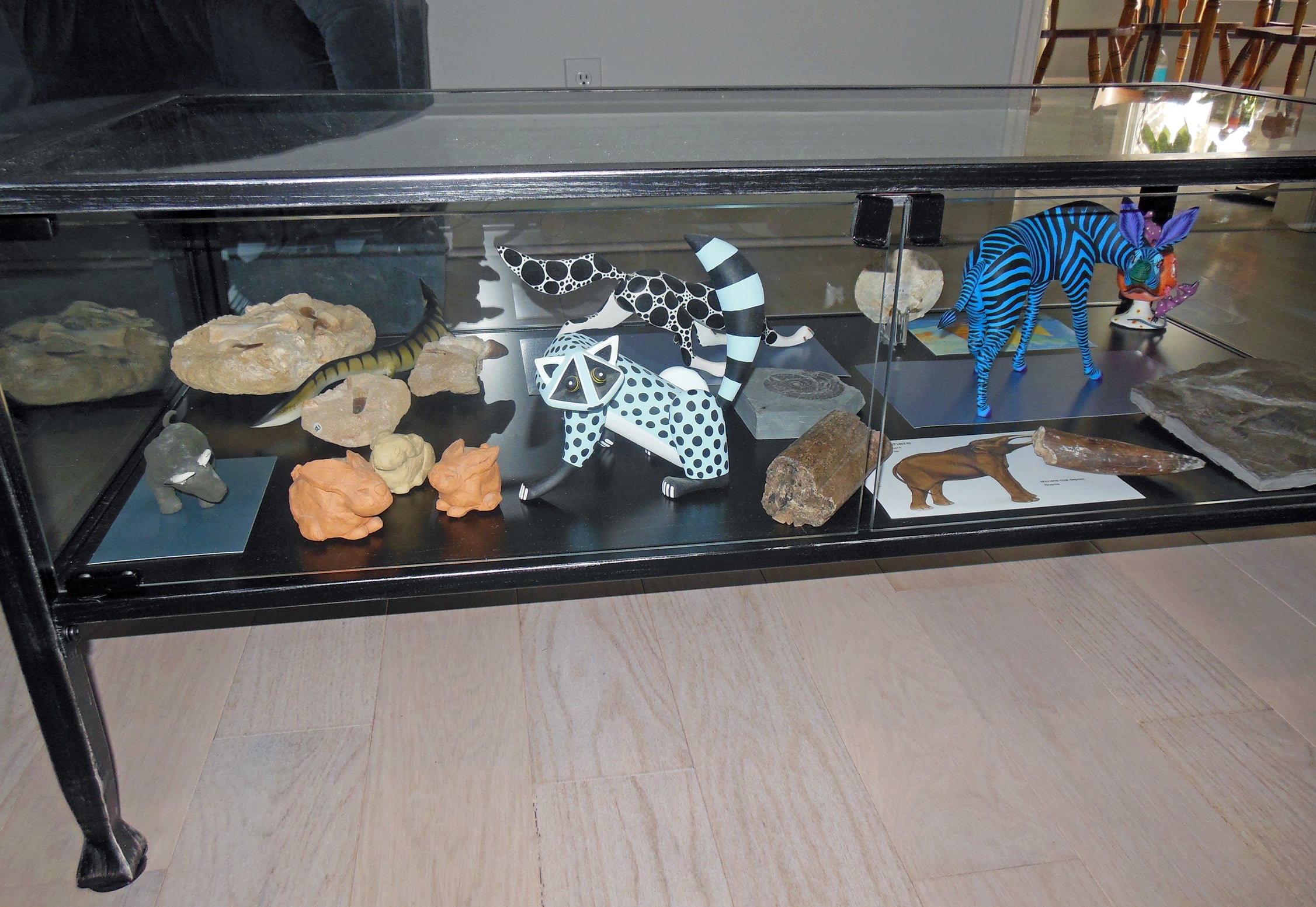 Best options for displaying fossils - Questions & Answers - The Fossil ...