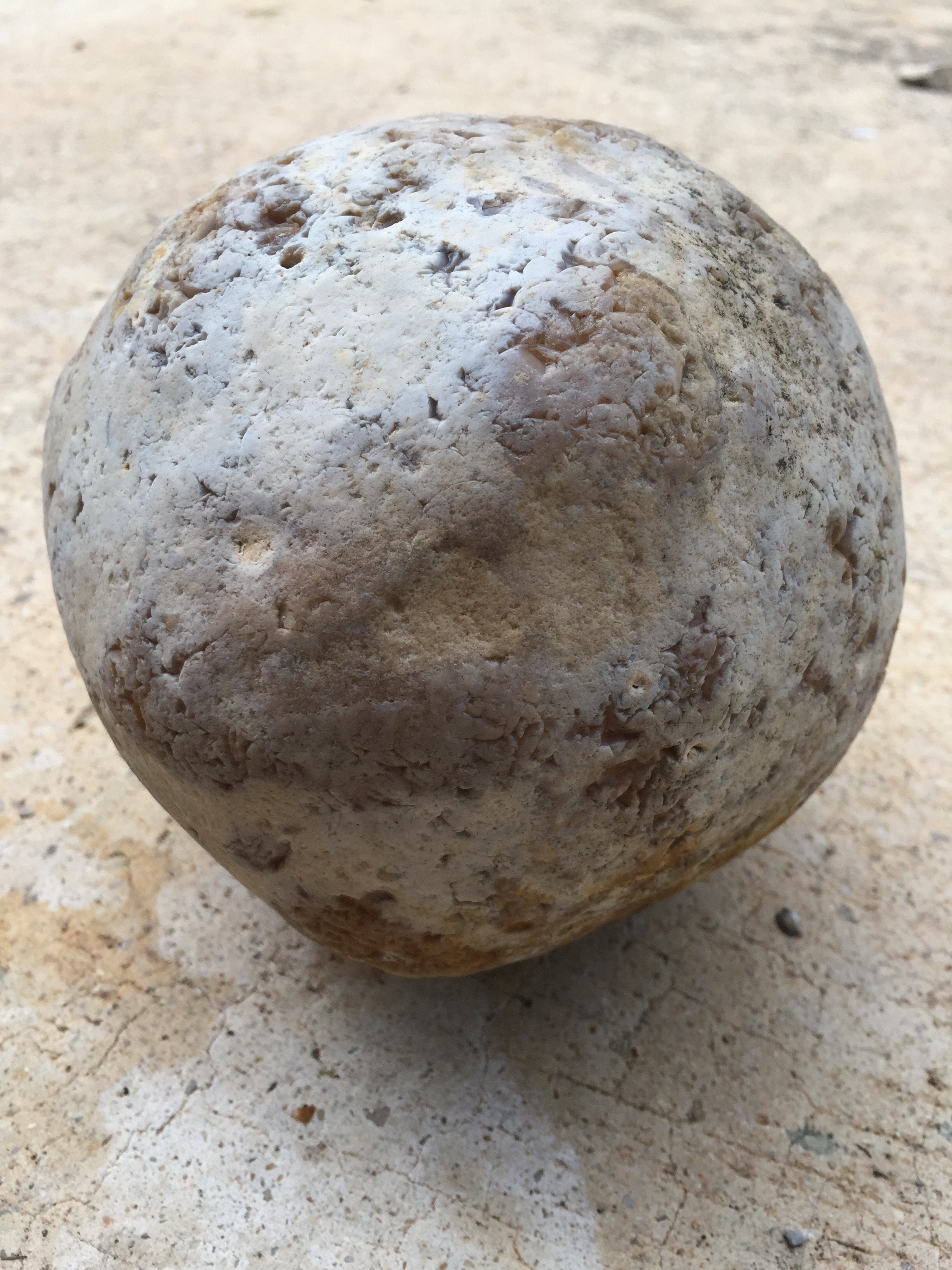 A Perfect Sphere of Flint - Fossil ID - The Fossil Forum