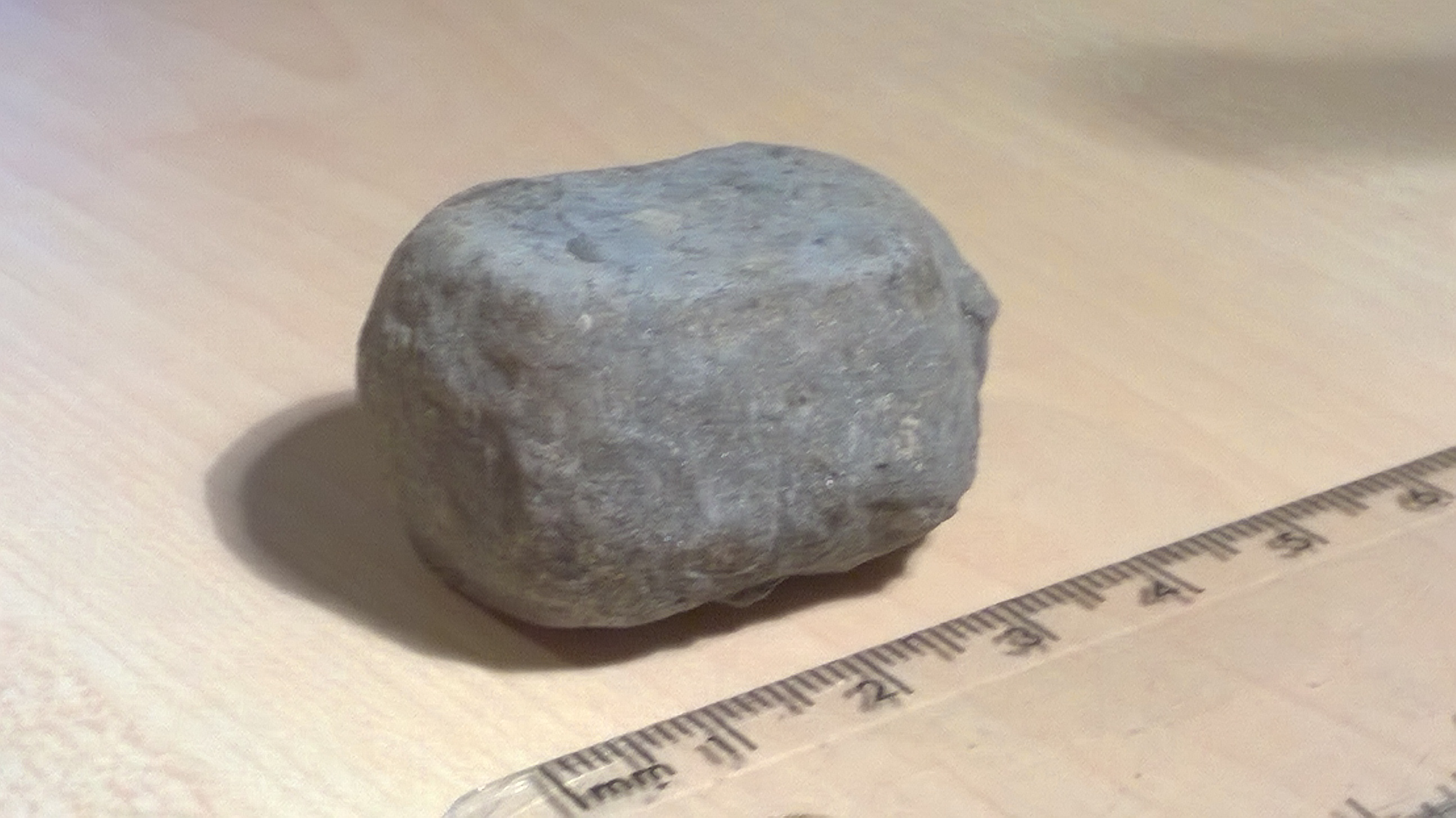 Paddle bone? - Fossil ID - The Fossil Forum
