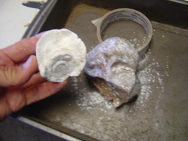 Modeling clay casts of big fossil molds... - General Fossil Discussion ...