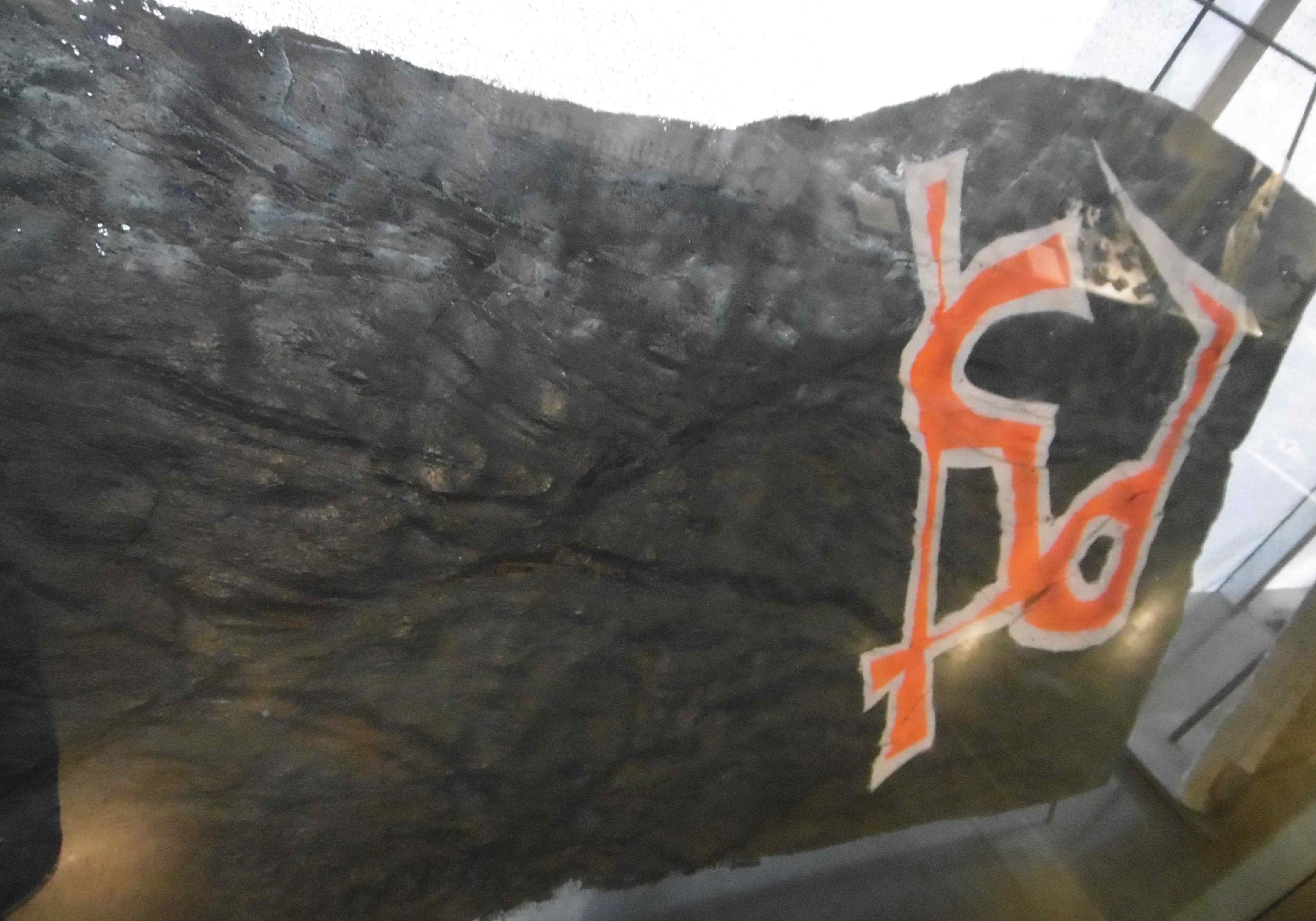 Oldest support for a tag? - General Fossil Discussion - The Fossil Forum