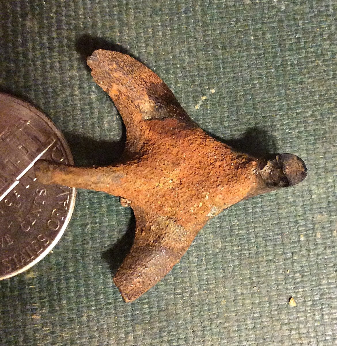 Hybodontiforme Shark Cephalic Clasper from Big Brook, NJ. - Member ...