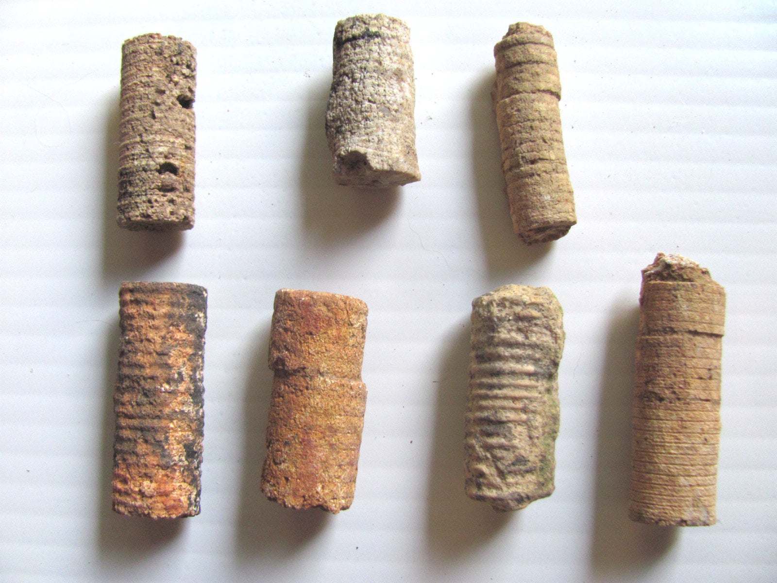 Crinoid Stems of the Mississippian Period A.JPG - Member Collections ...