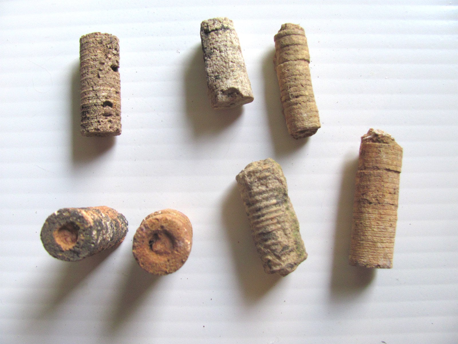 Crinoid Stems of the Mississippian Period A.JPG - Member Collections ...
