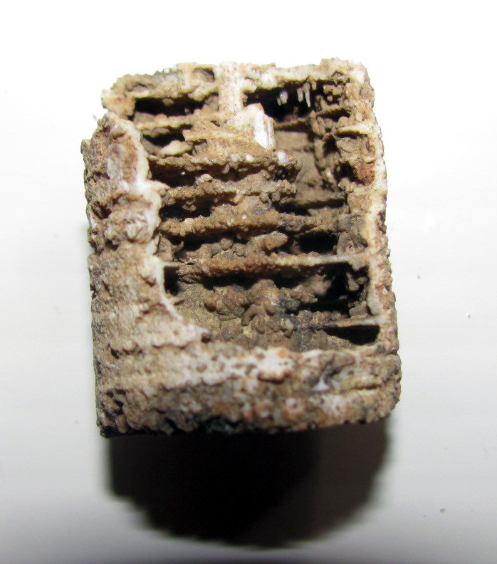 Crinoid Stem showing inner structure.jpg - Member Collections - The ...