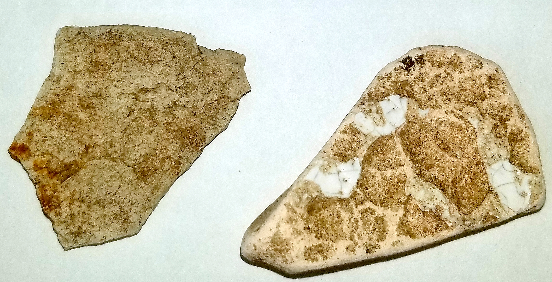 Date my sherds from ichnofossils? - Fossil ID - The Fossil Forum