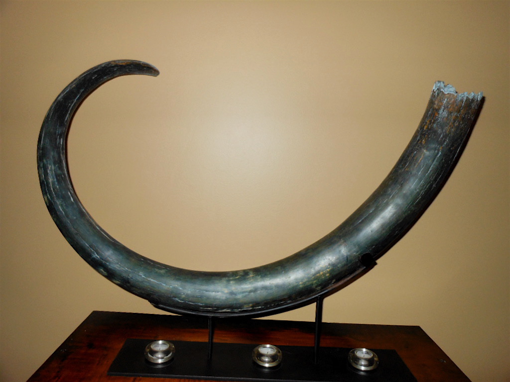 Cleaning Mammoth Tusk Pieces - Fossil Preparation - The Fossil Forum