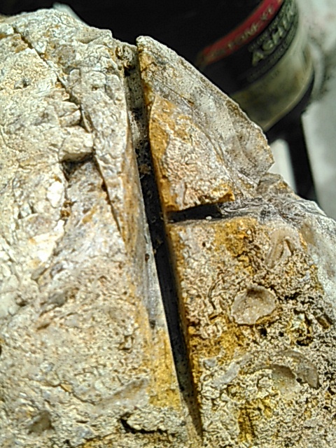 Rock with deep cuts - Fossil ID - The Fossil Forum