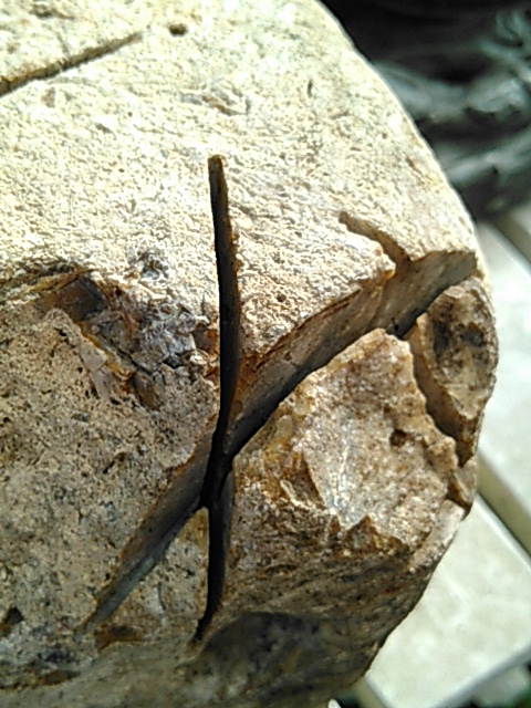 Rock with deep cuts - Fossil ID - The Fossil Forum