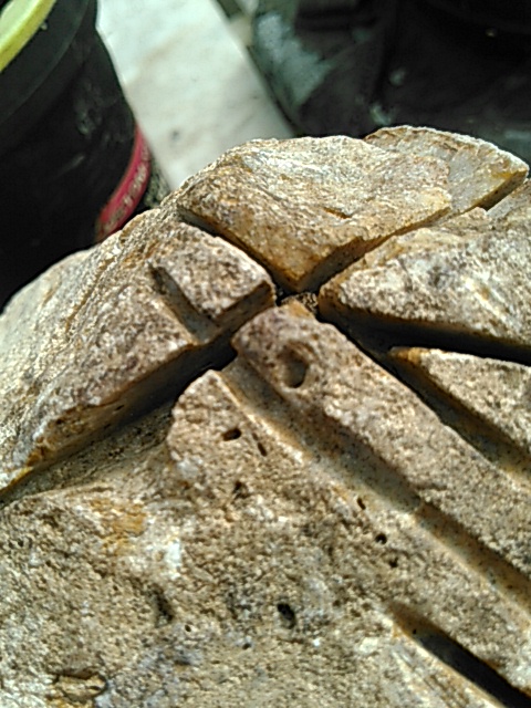 Rock with deep cuts - Fossil ID - The Fossil Forum
