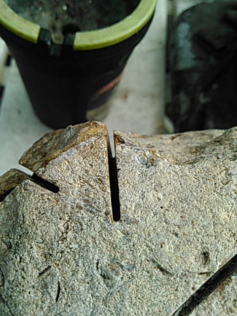 Rock with deep cuts - Fossil ID - The Fossil Forum