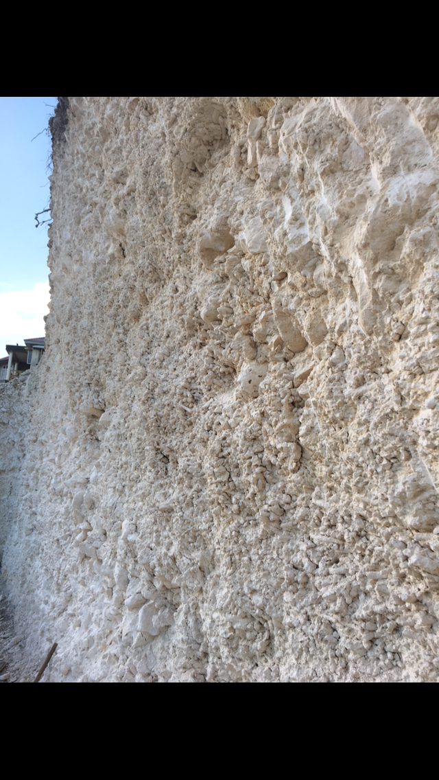 Barbados - Fossil Hunting Trips - The Fossil Forum