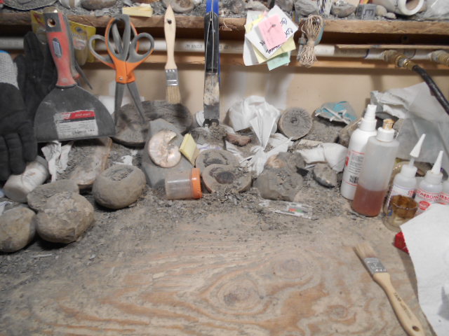 One messy prep bench!!! - Fossil Preparation - The Fossil Forum