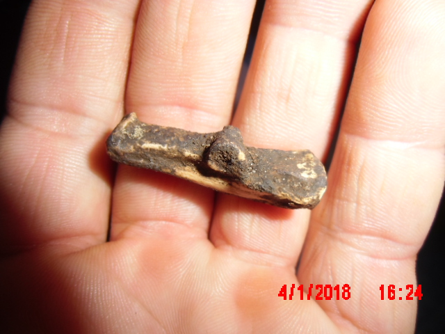 Mystery bone - Fossil ID - The Fossil Forum