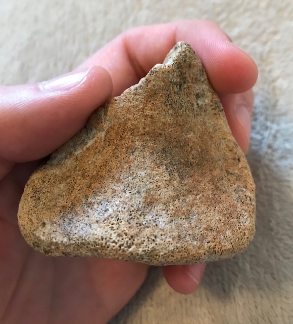 My Two Medicine formation collection - Member Collections - The Fossil ...