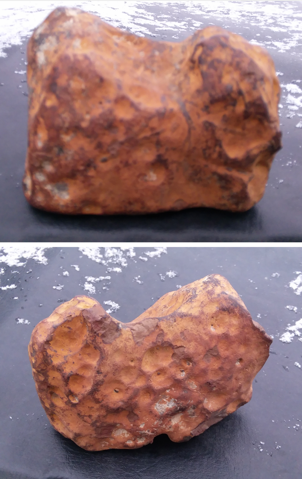 Rock Identification - Fossil ID - The Fossil Forum