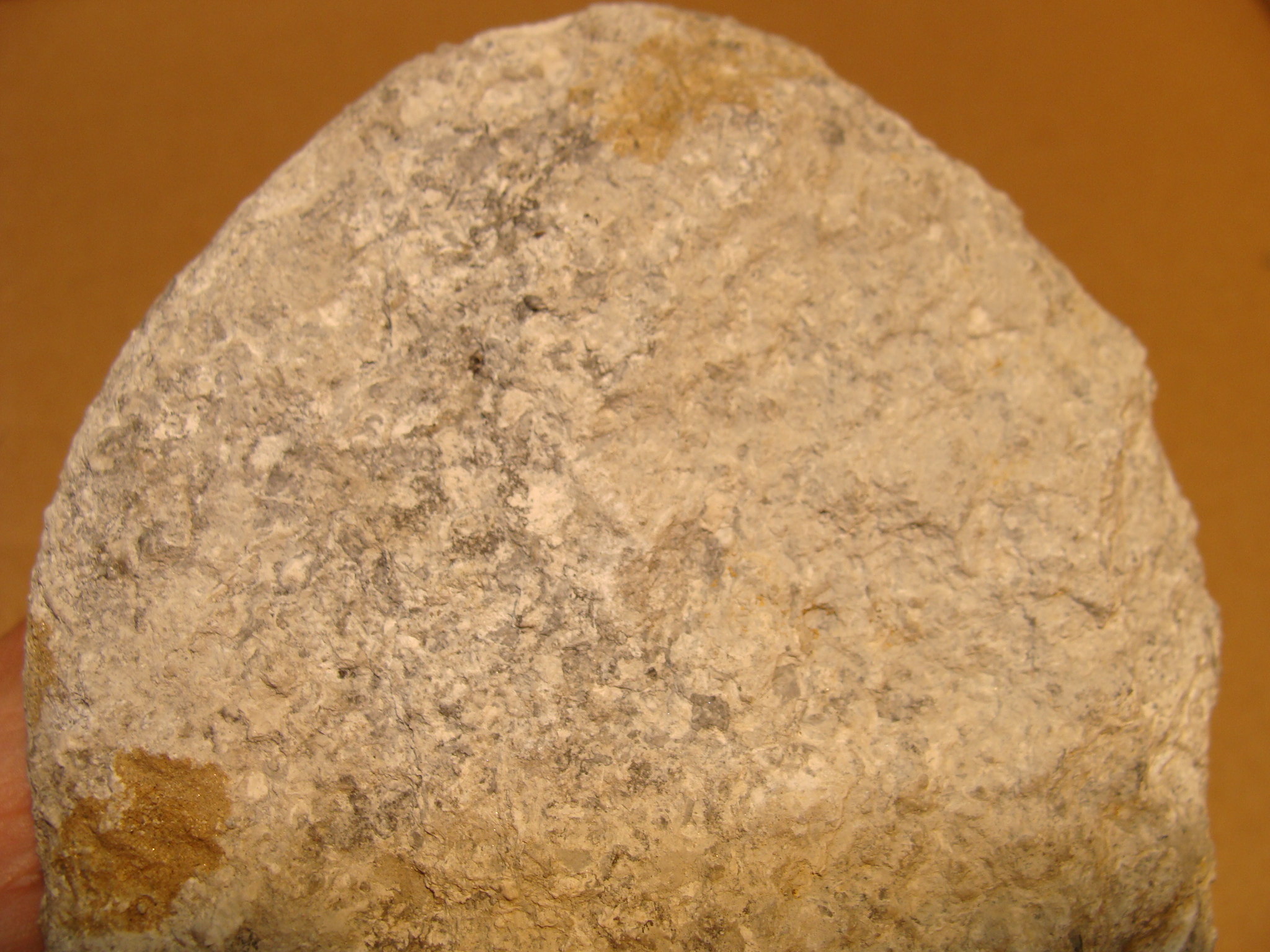 sandblasting fossils - Fossil Preparation - The Fossil Forum