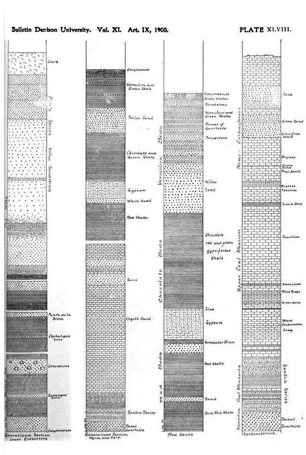 Spathites puercoensis (Herrick & Johnson, 1900) - Member Collections ...