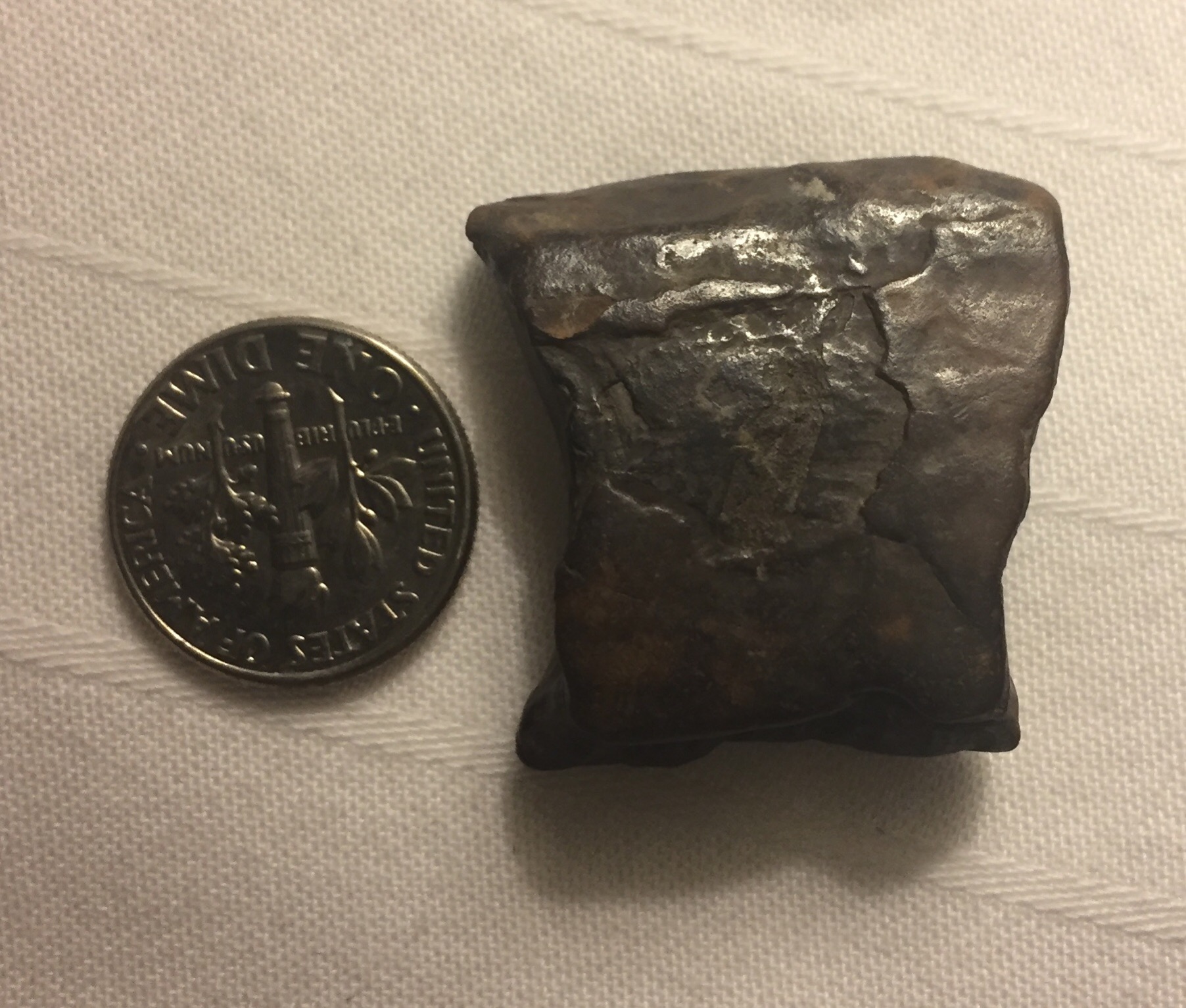 Piece of turtle shell? - Fossil ID - The Fossil Forum