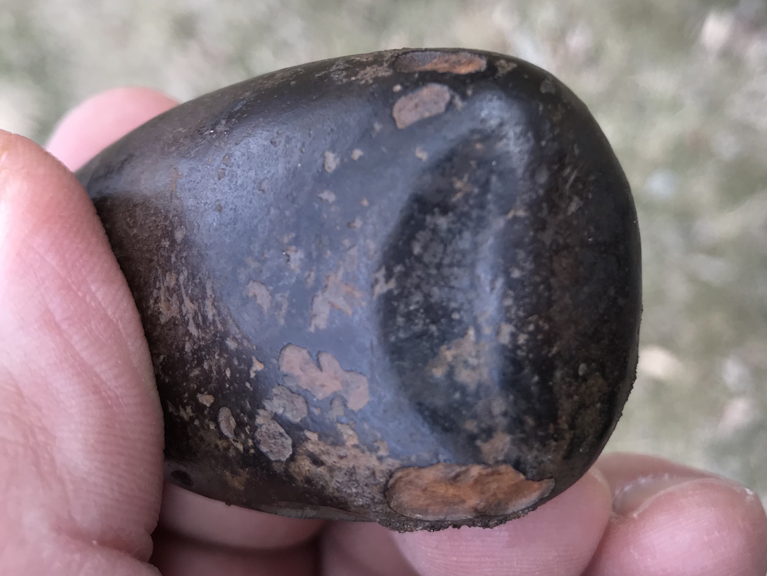Fossil concretion, tooth or man made??? - Fossil ID - The Fossil Forum