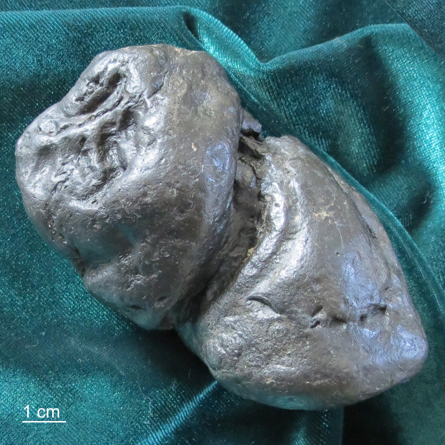 Coprolite food chain or overactive imagination? - Fossil ID - The ...