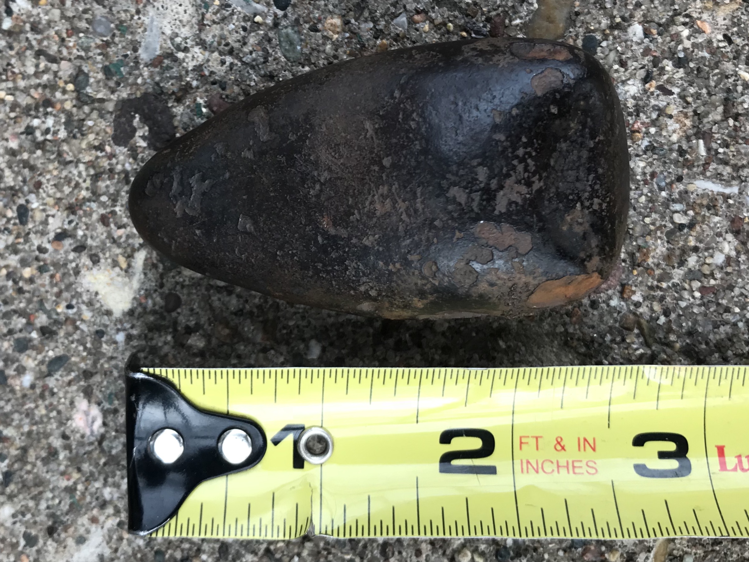 Fossil concretion, tooth or man made??? - Fossil ID - The Fossil Forum