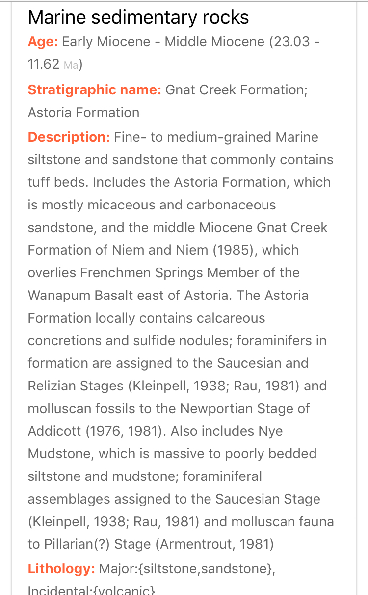 Nut - Fossil ID - The Fossil Forum