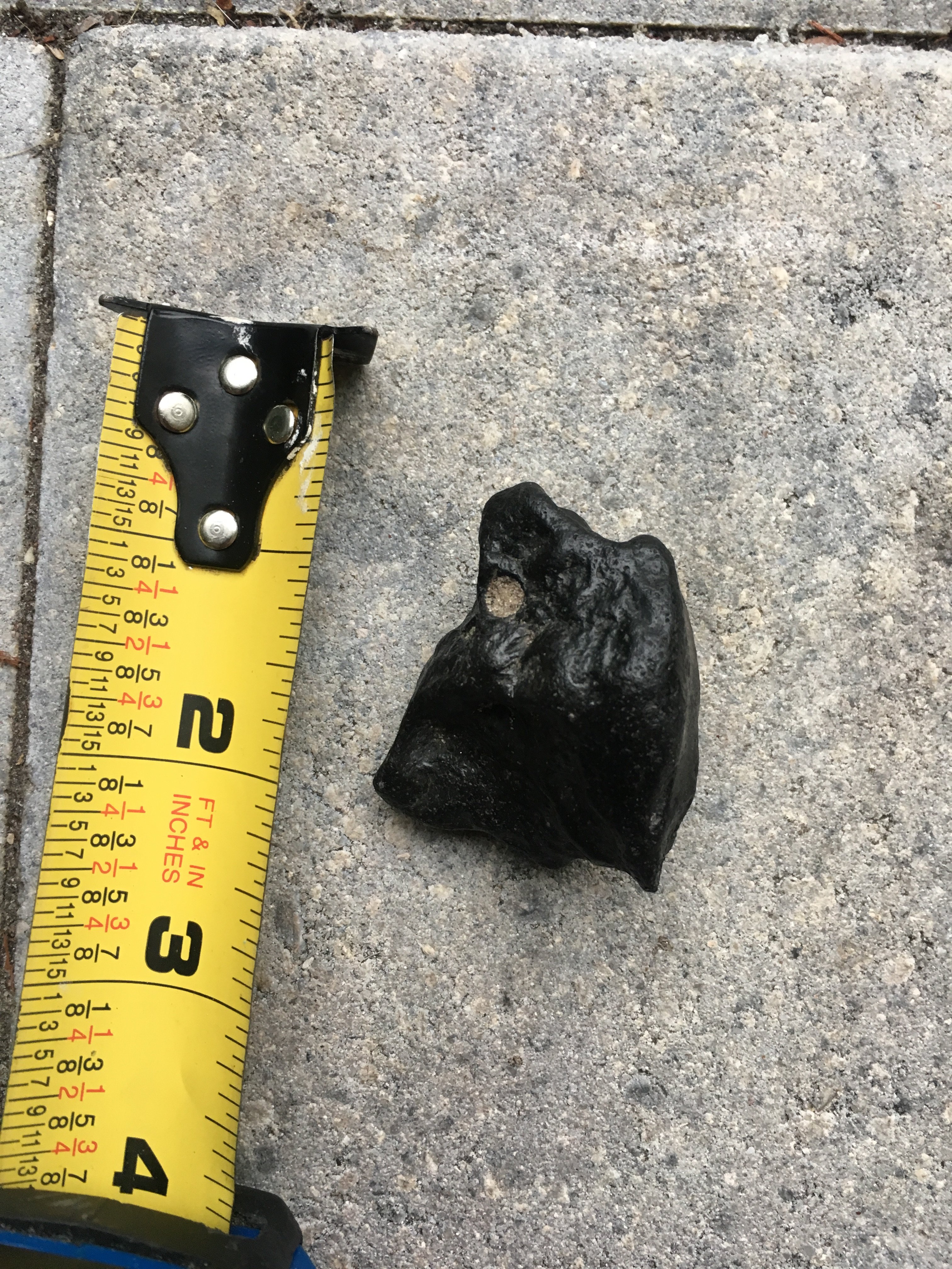 Is this a tooth? - Fossil ID - The Fossil Forum