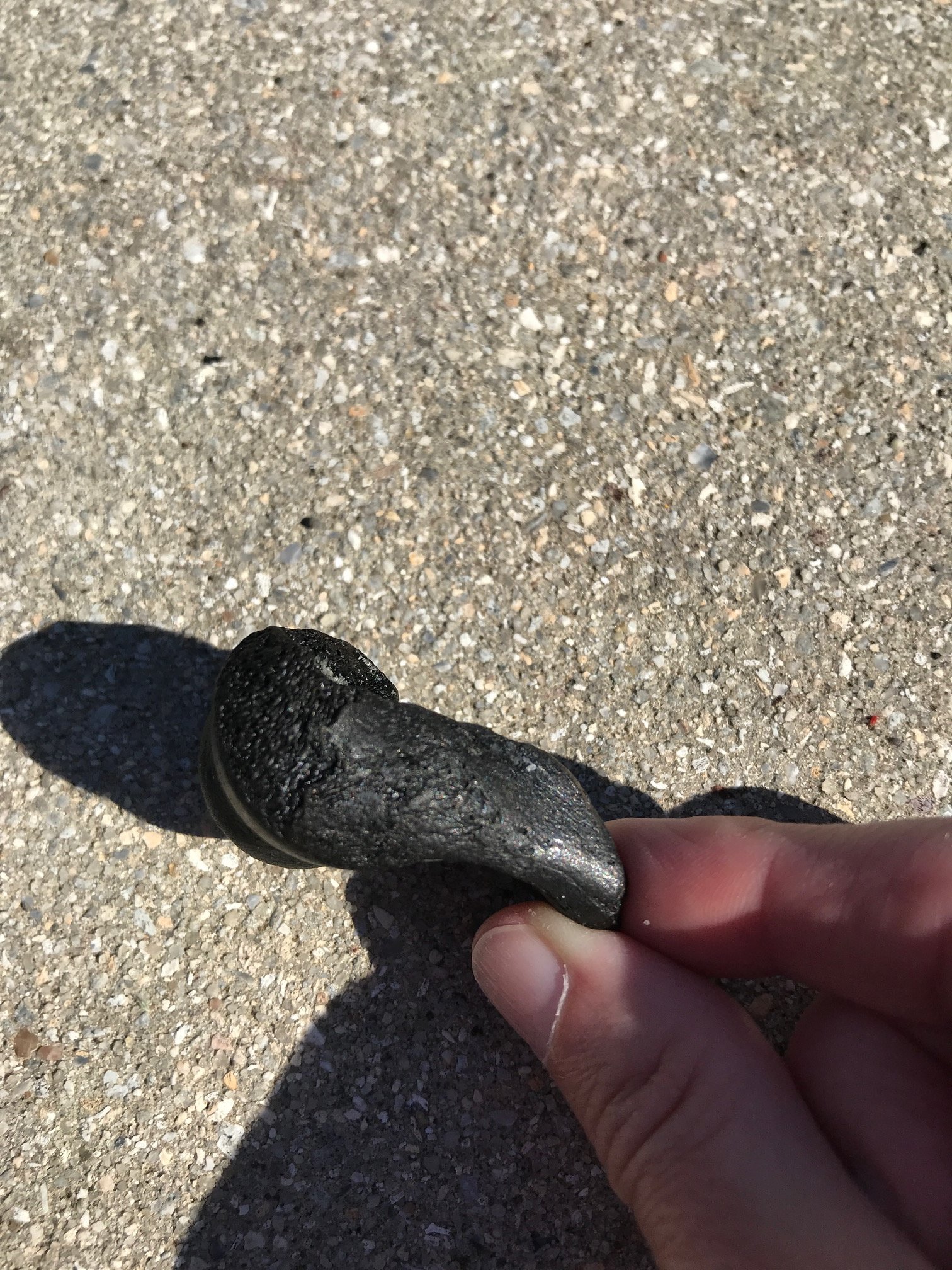 Bone joint? - Fossil ID - The Fossil Forum
