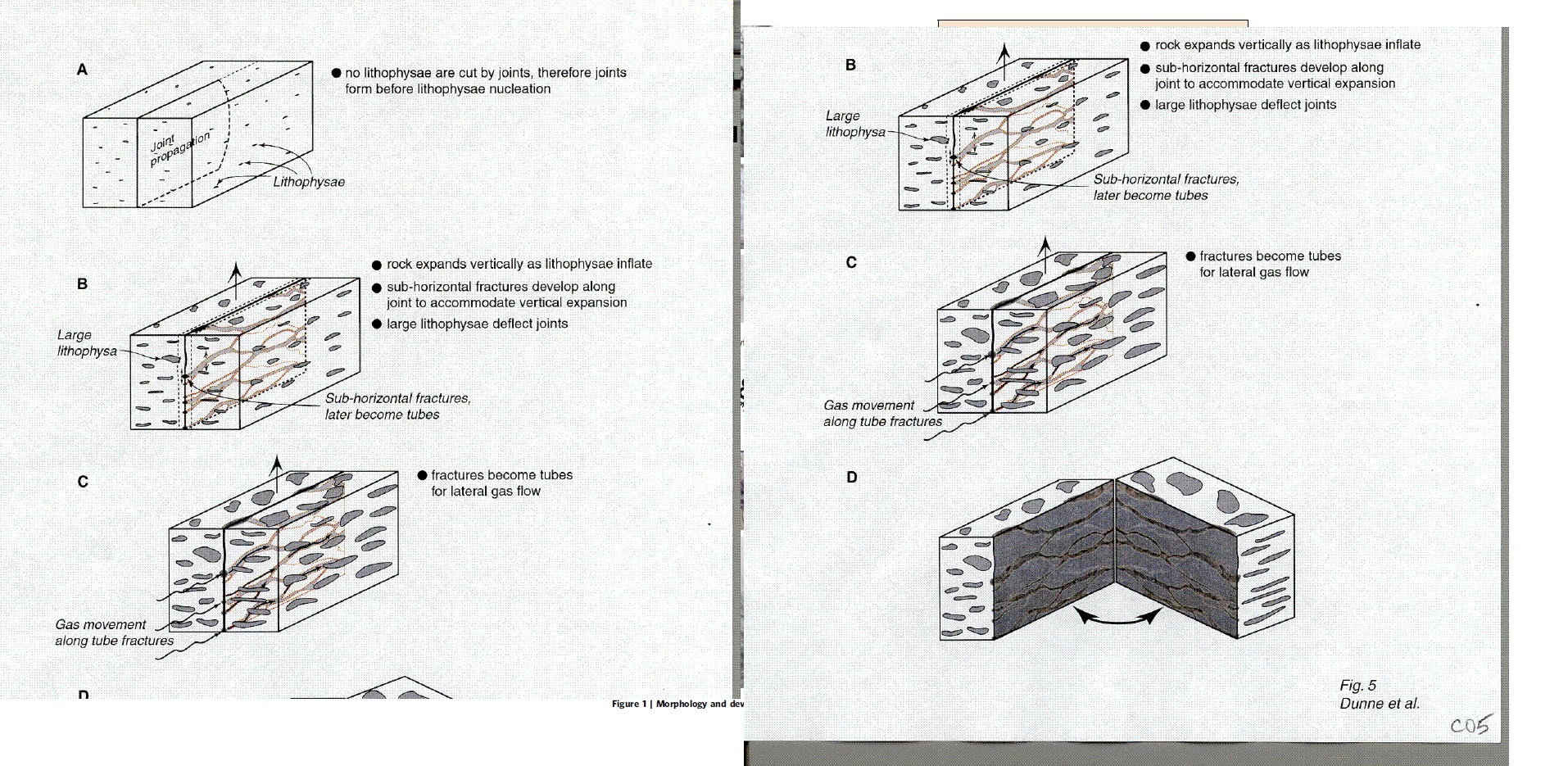 Jurrasic shale cylinders with a square hole down the center ...