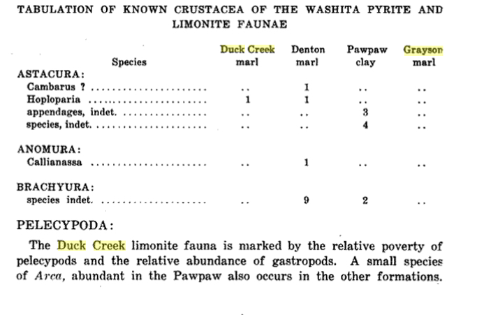 Denton Creek (Duck Creek Formation) ID - Page 2 - Fossil ID - The ...