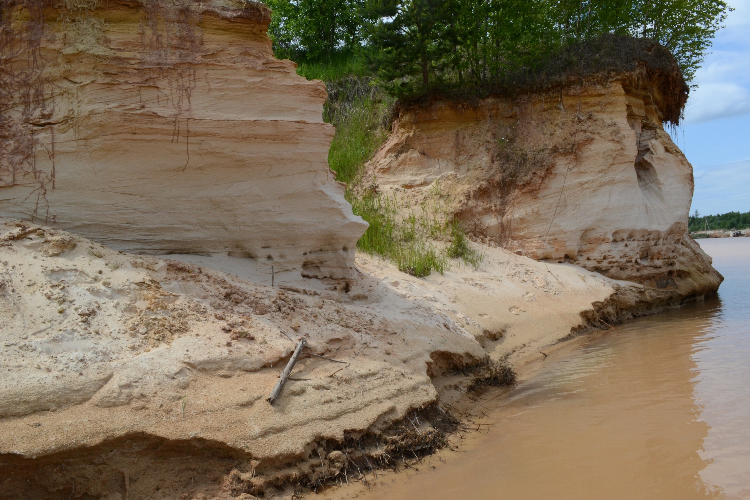 Placoderms from the Devonian period - Fossil Hunting Trips - The Fossil ...