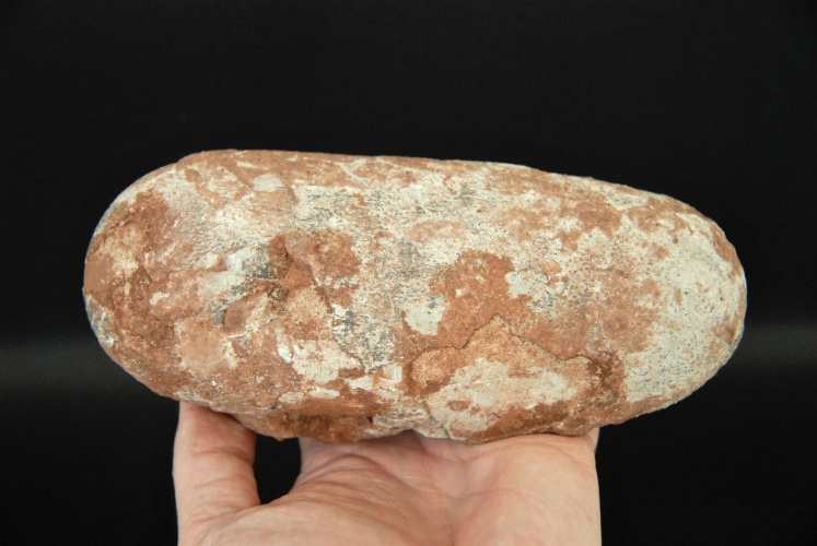 Eggs - Is It Real? How to Recognize Fossil Fabrications - The Fossil Forum