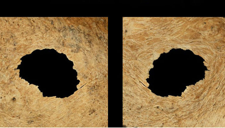 Neanderthals used refined hunting techniques 120,000 years ago - Fossil ...